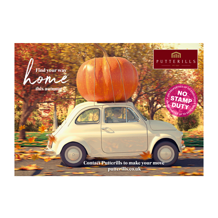Autumn Leaflet Designs for Estate Agents | Seasonal Property Marketing